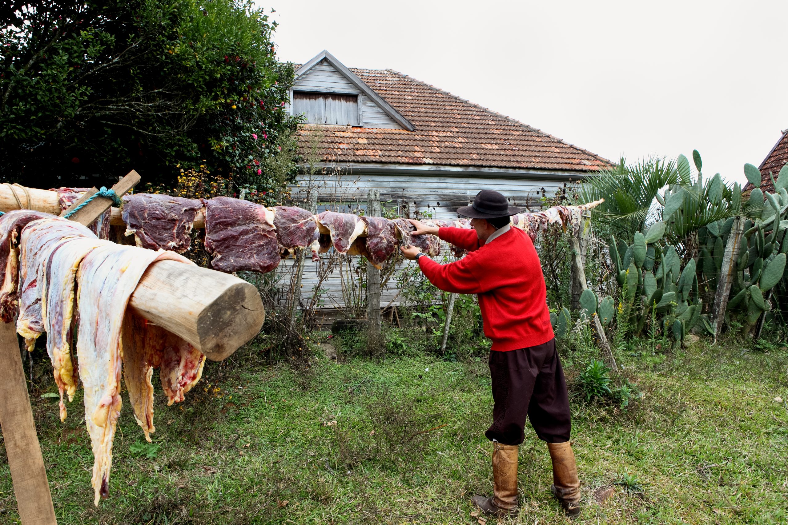 Descubra a diferença entre carne de sol, carne-seca e charque ...