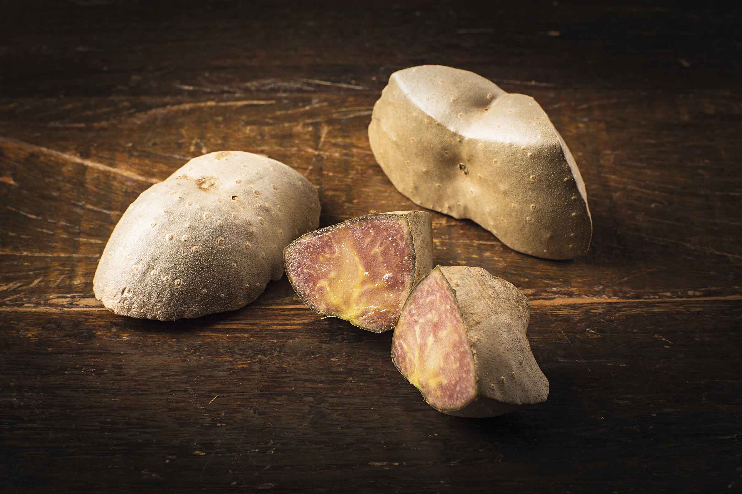 Cará-Moela - Instituto Brasil a Gosto