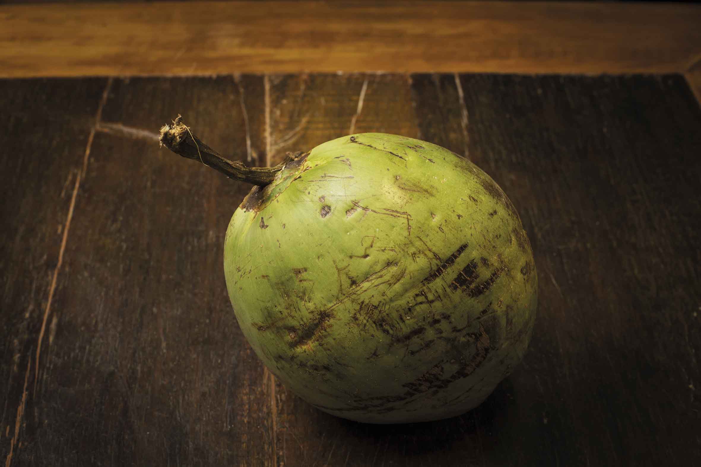 Pq Fazemos Coco Verde - LIBRAIN