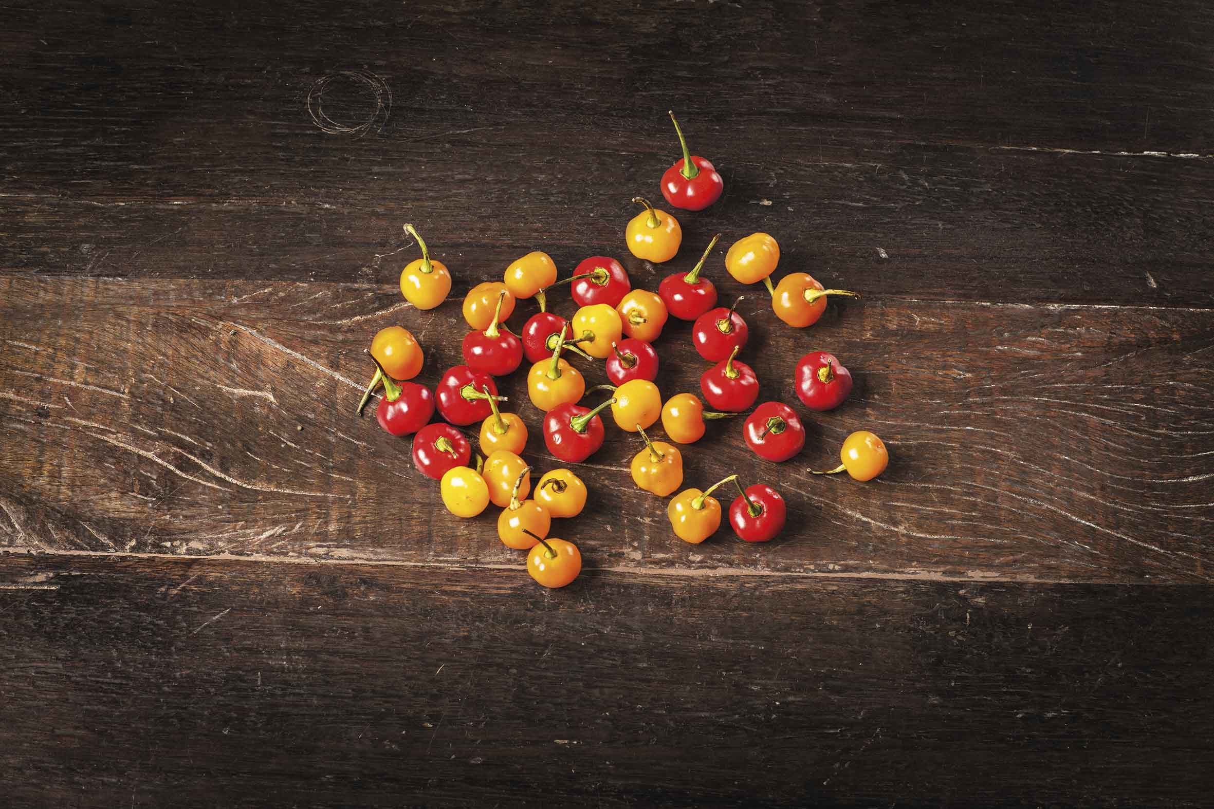 Pimenta-de-Bode - Instituto Brasil a Gosto