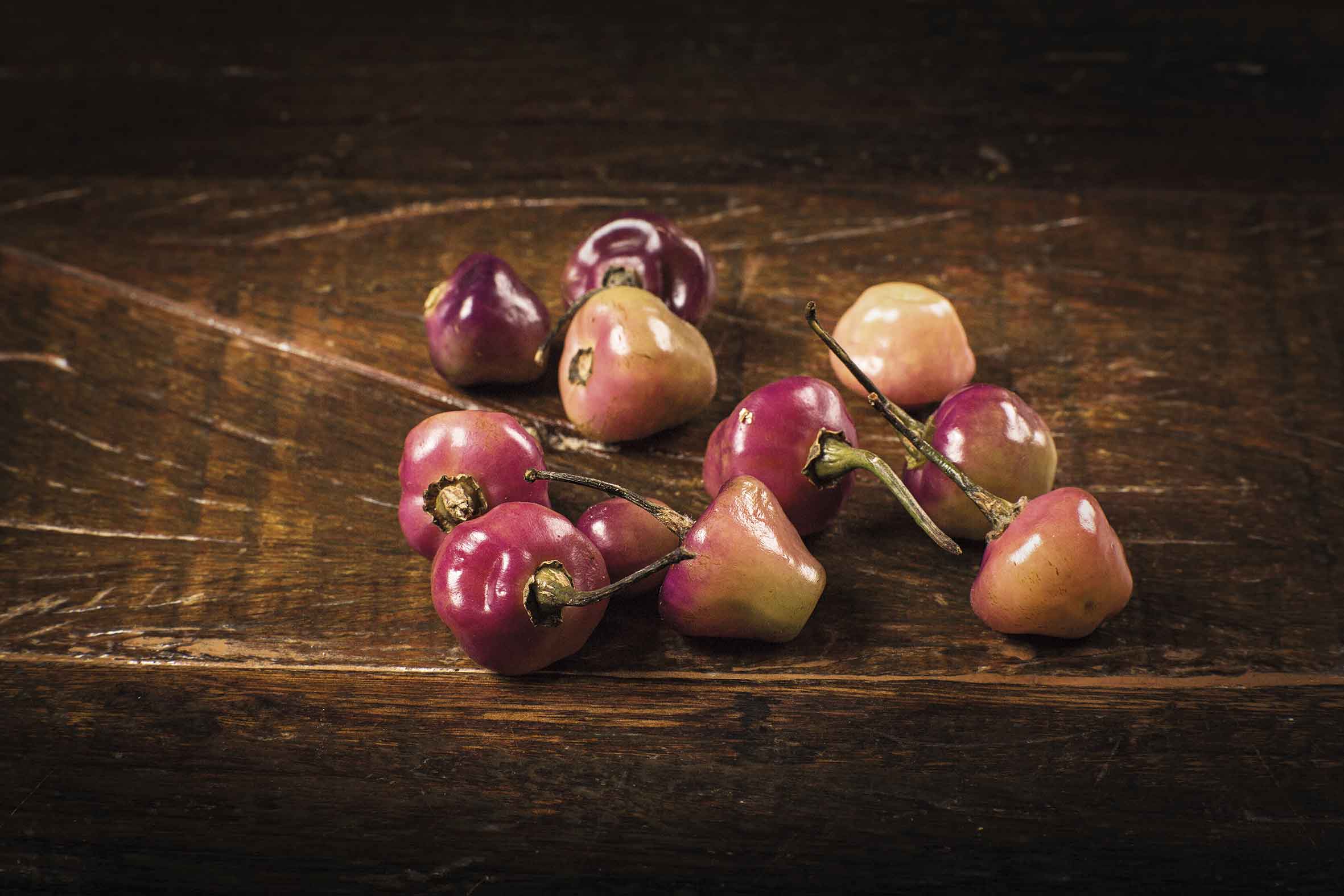 Pimenta-de-Cheiro-da-Bahia - Instituto Brasil a Gosto