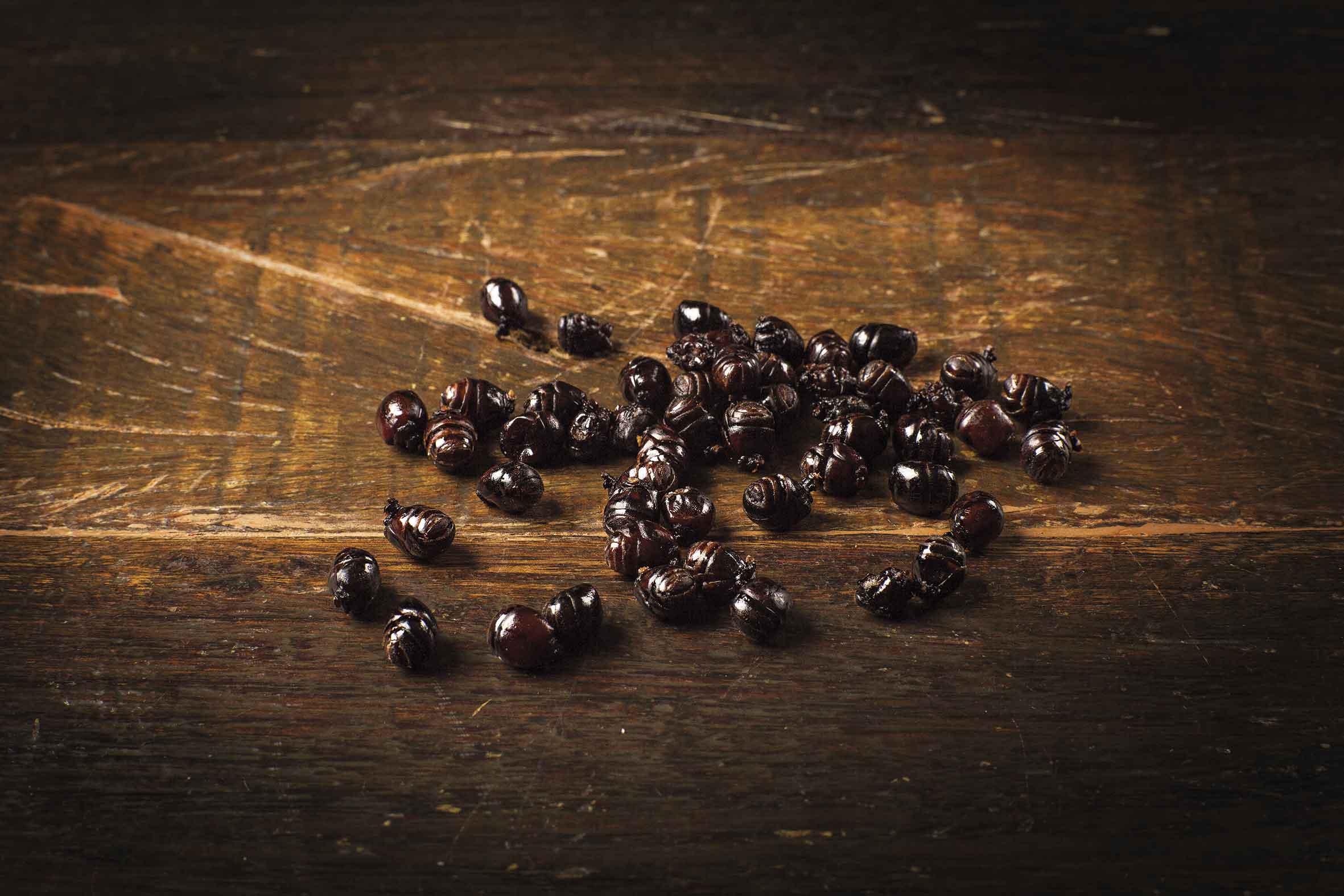 Içá Anti - Instituto Brasil a Gosto