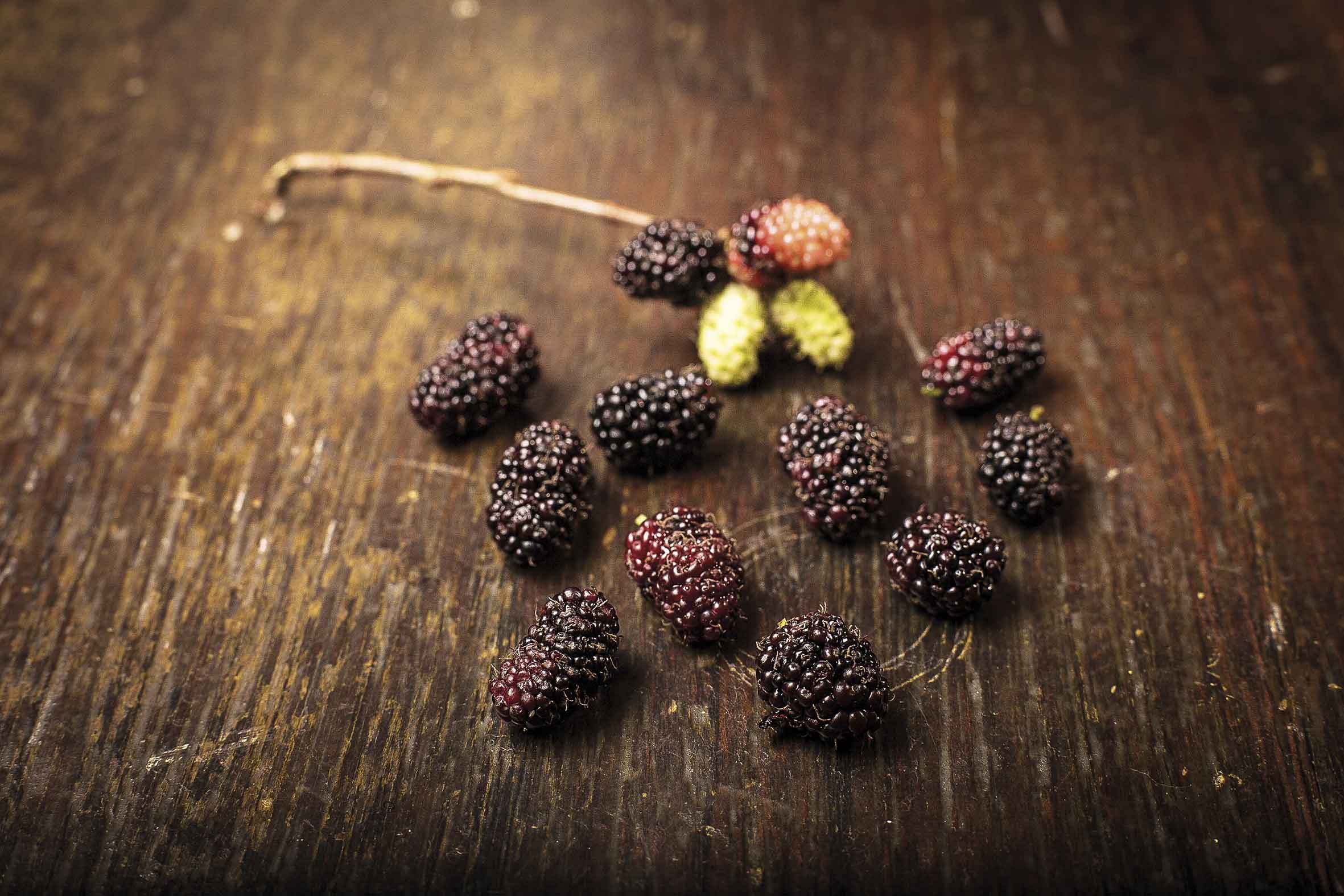 Amora Silvestre - Instituto Brasil a Gosto