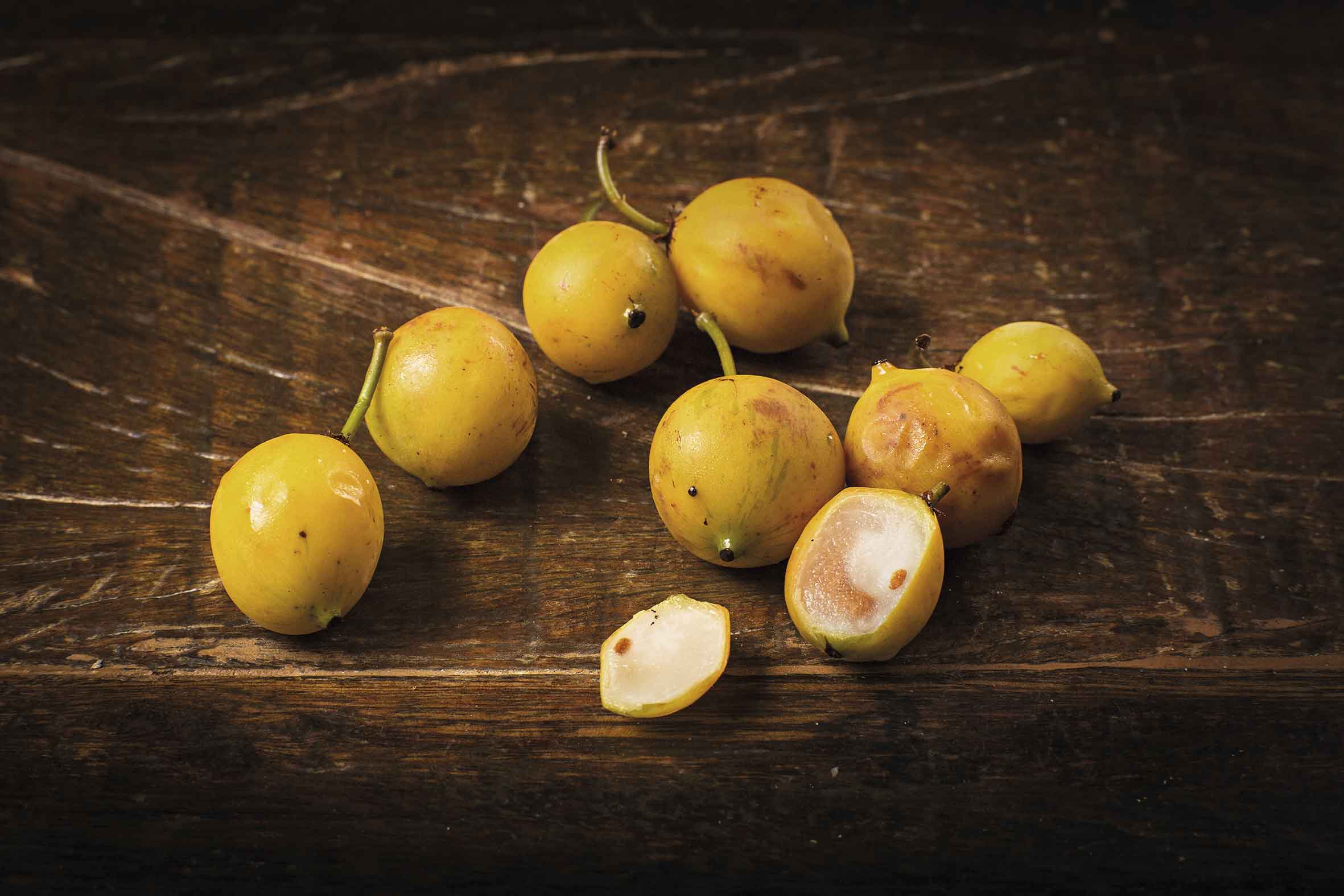 Fruta Pequena Amarela Azedinha - FDPLEARN