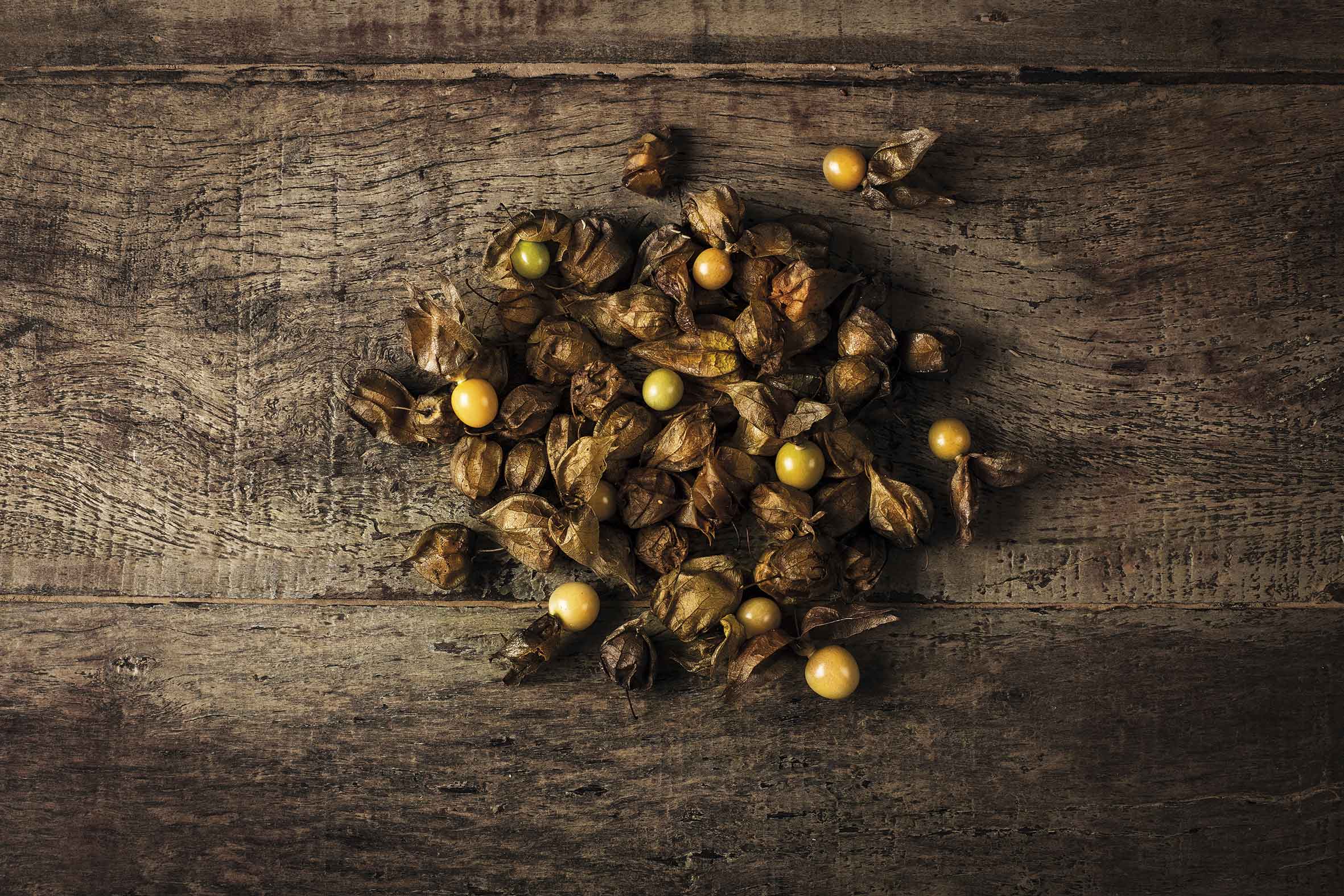 Camapu - Instituto Brasil a Gosto