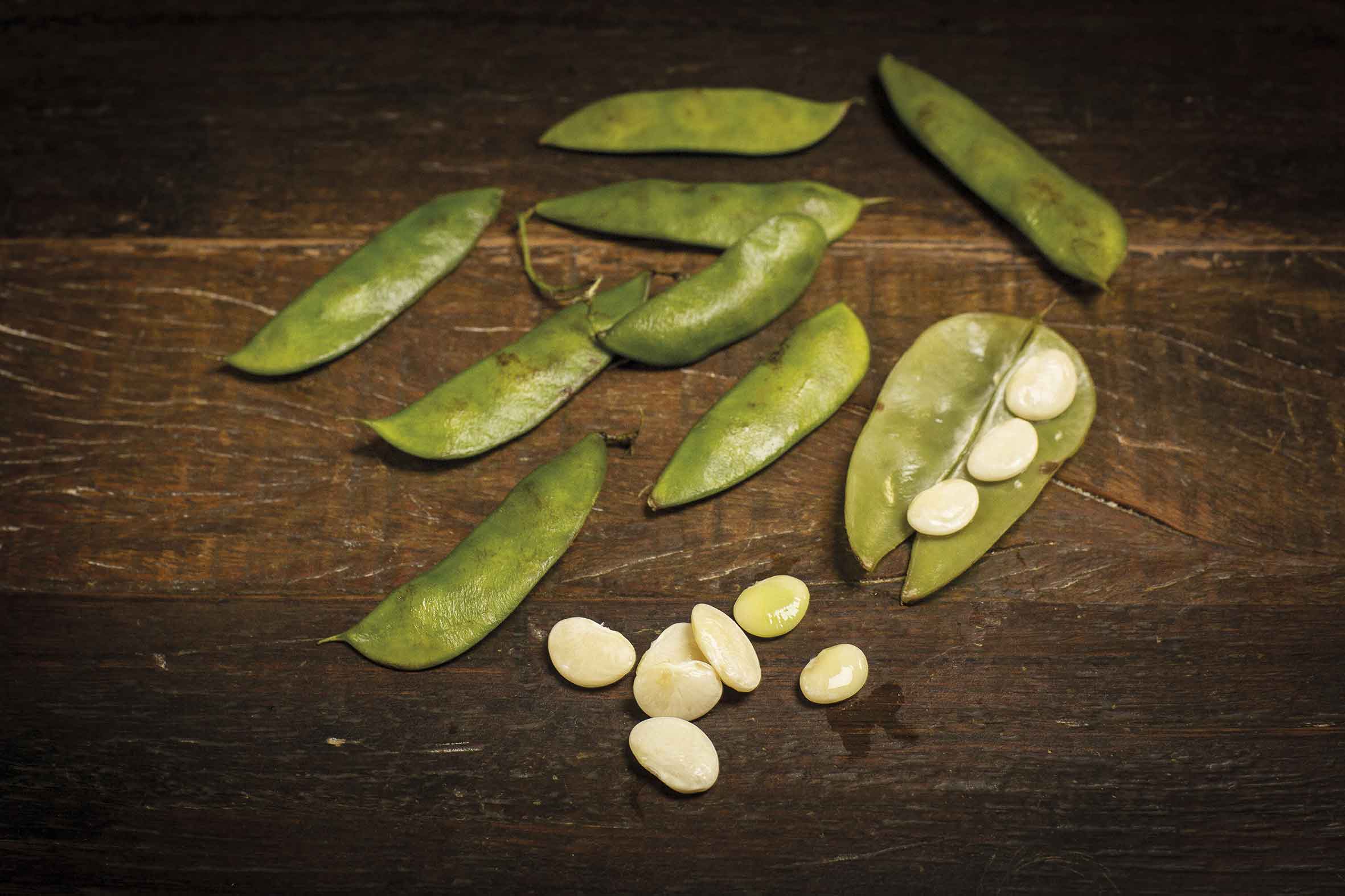 Fava-verde - Instituto Brasil a Gosto